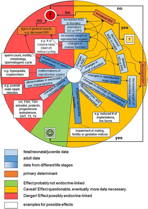 Scheme For Differentiation Between General Reproductive Toxicity And Download Scientific