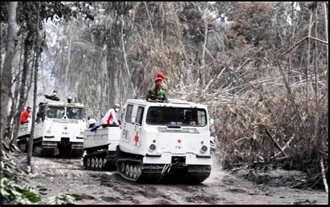 Sejarah Palang Merah Indonesia Evakuasi Di Tengah Gemuruh Awan Panas