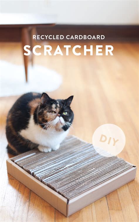 12 Cardboard Cat Scratcher Diys Guide Patterns