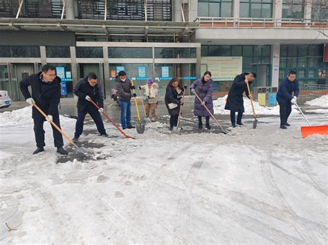 清雪除冰在行动 文法党员暖人心 文法学院