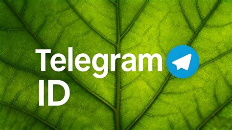 Telegram电报如何添加好友，有几种方式？ Telegram中文之家官网tg飞机教程资讯网