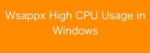 Ako Opravi Probl M S Vysok M Vyu It M Disku Wsappx Ako Na Windows
