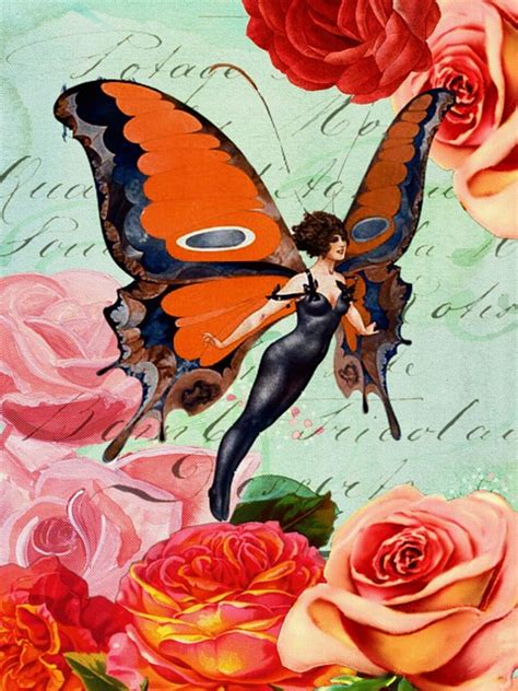 Download Flapper Butterfly Rose Royalty Free Stock Illustration Image Pixabay