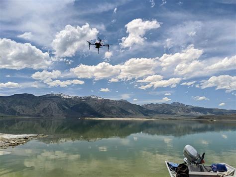 multi drone system autonomously surveys penguin colonies stanford report
