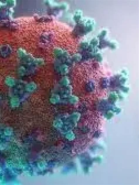 First Death Reported In Gujarat As H3n2 Influenza Virus Spreads Across