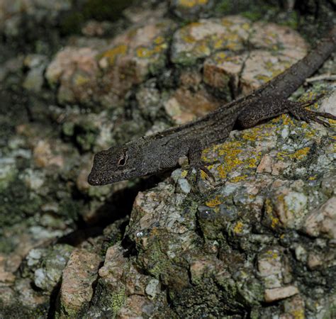 Natured Theme On Behance