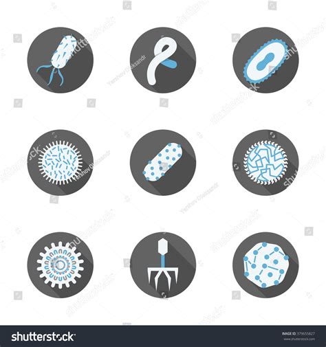 157 Assay Color Icons 图片、库存照片和矢量图 Shutterstock