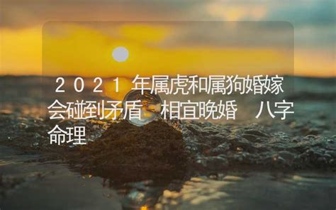 2021年属虎和属狗婚嫁会碰到矛盾 相宜晚婚 八字命理 生肖星座 合福居算命网