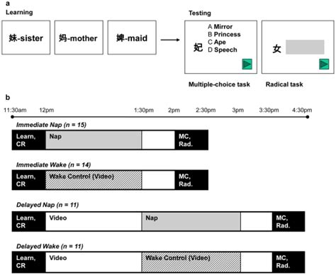 A Sample Stimuli And Items From The Tasks Left Individual