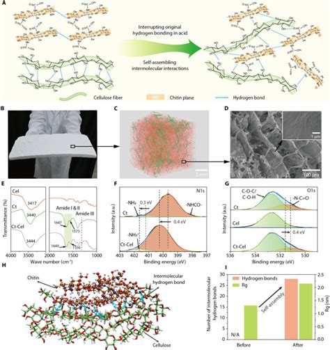 Revivable Self Assembled Supramolecular Biomass Fibrous Framework For Efficient Microplastic