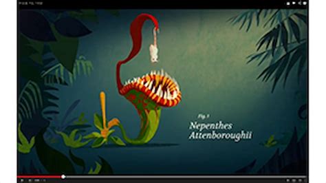 American Floral Endowment Launches Murder Sex Greed Video Garden