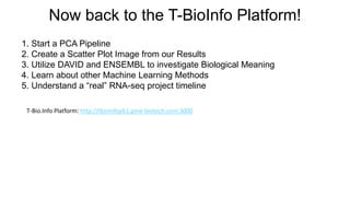 Rna Seq PPT