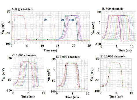 Propagation Of Simulated Action Potentials Aps In A Single Linear