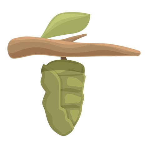 Premium Vector Nature Cocoon Icon Cartoon Vector Natural Leaf Larva Life