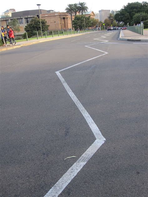 Lost In Translation An American Puggle Living In Bondi Zig Zag Road Markings