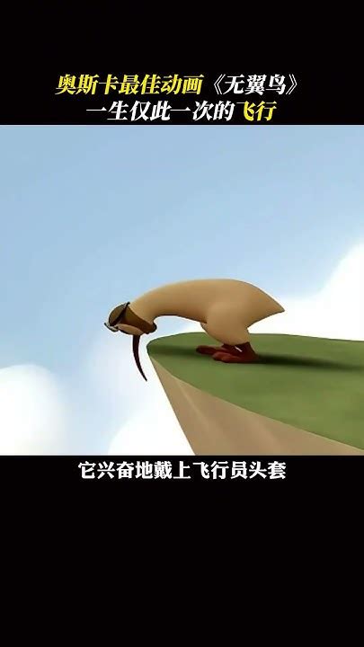 奥斯卡最佳动画短片《无翼鸟》，太好哭了！穷尽一生实现梦想 奥斯卡最佳动画短片 梦想 催泪 无翼鸟 Youtube