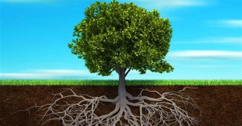 A Naming Scheme For Database Tables And Fields