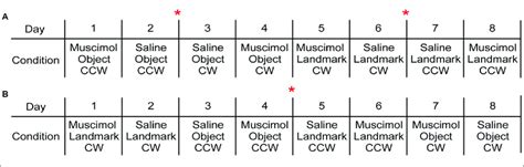 Exemplar Behavioral Sequences A This Behavioral Sequence Included
