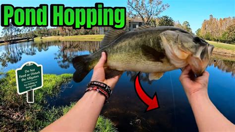 Florida Pond Hopping For Giant Bass Youtube