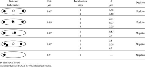 Examples Of Gfp Fusion Protein Localization Patterns And Features Used