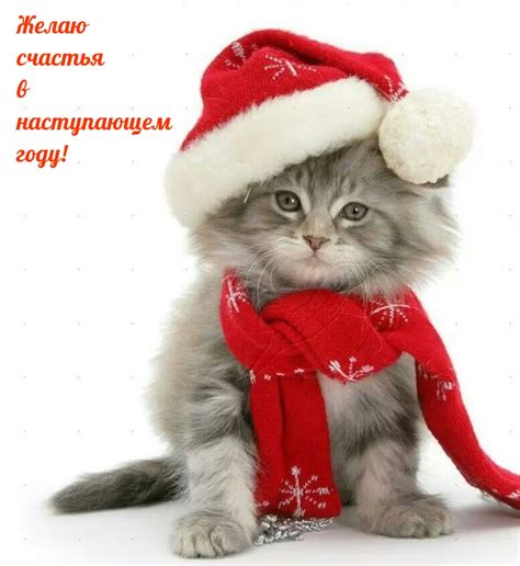 Картинки с надписями Желаю счастья в наступающем году
