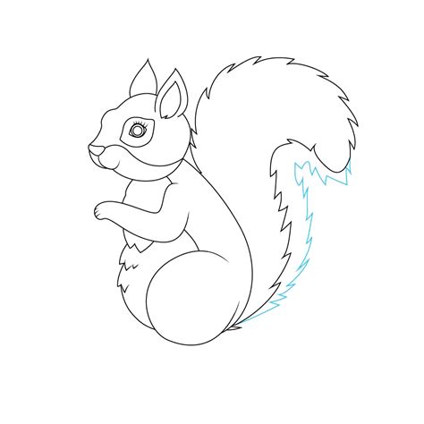 How To Draw A Squirrel Step By Step