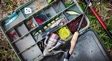 Fly Fishing Vs Spin Fishing