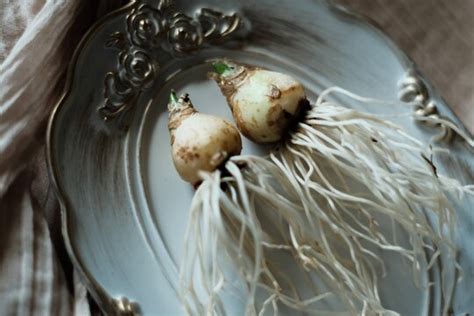 Wurzelziehen Bilder Durchsuchen 56405 Archivfotos Vektorgrafiken