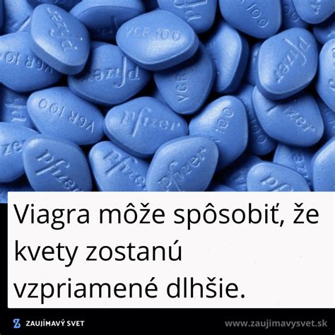 Zaujímavosti Ku Káve Ktoré Ti Zaručene Rozšíria Obzory 1845 čo Sa