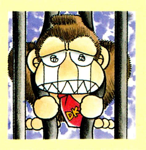 Dkc2 Strategy Guide On Tumblr