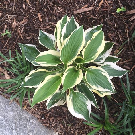 About Joseph Ryan Medium