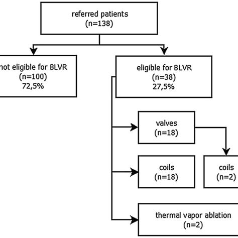 A Severe Homogeneous Emphysema Vanishing Lung B Postinflammatory