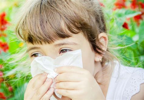 Alergia Estacional Primaveral 5 Consejos Para Evitarla Cocktelera