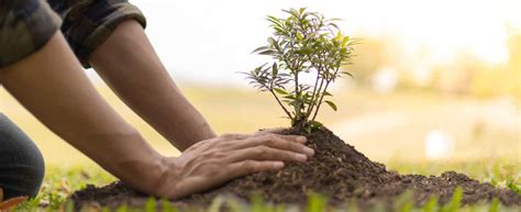 Studying The Impact Of Male Migration On Decision Making By Women In