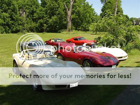 Light Beige Corvetteforum Chevrolet Corvette Forum Discussion