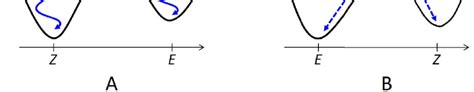 Schematic Representations Of The Two Distinct Photoisomerization