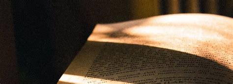 Palindrome Définition Exemples Liste