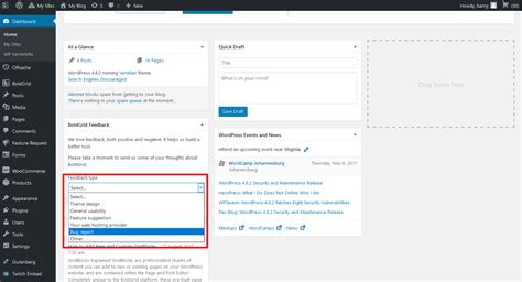 How To Get Support For Boldgrid