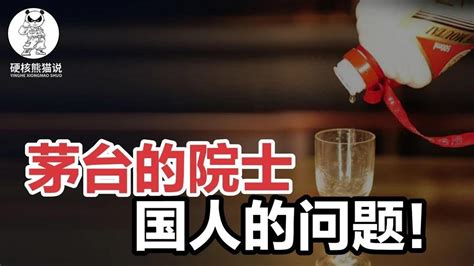 茅台院士提名不能受監督？學術監督有沒有必要？看芯片暫緩的十年【硬核熊貓說】 Youtube
