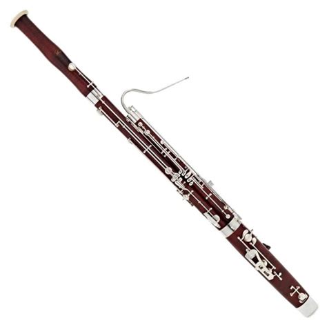 Bassoon Vs Oboe Which Woodwind Instrument Reigns Supreme Teds List