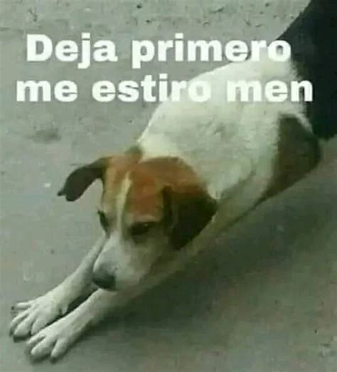 Los Mejores Memes Tras La Remontada De La Selección Colombia Frente A