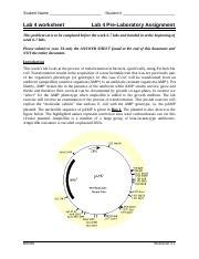 Lab 6 7 Pre Lab Worksheet Docx Babe Name Lab 4 Worksheet Babe Lab 4 Pre Laboratory