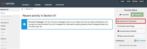 Canvas Importing From Commons Credo Learning Tools