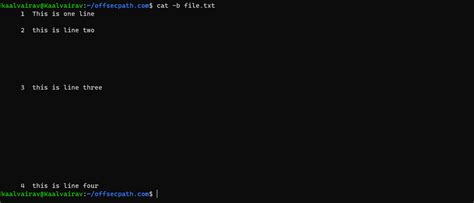 how to use cat command fast and easy guide offsecpath