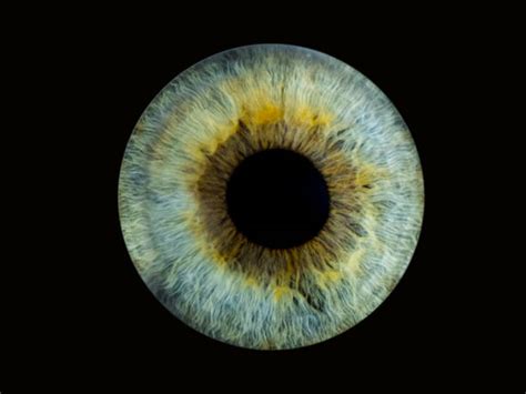 Personalize Your Space With Made To Order Iris Portraits Iris Blink®