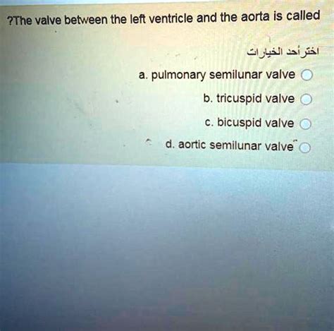 SOLVED The Valve Between The Left Ventricle And The Aorta Is Called The Aortic Semilunar Valve
