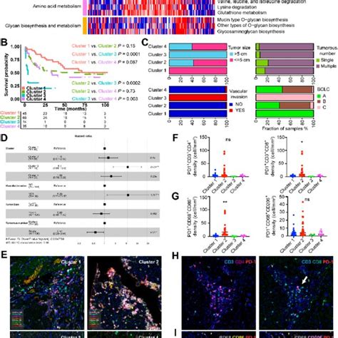 metabolic clusters of hcc show distinct metabolic characteristics a