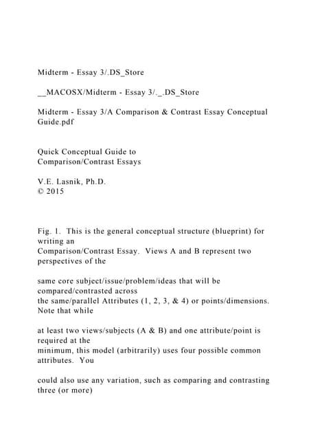 Midterm Essay 3dsstoremacosxmidterm Essay 3dsdocx