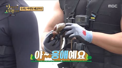 ‘안싸우면 다행이야 성훈x박준형x양치승 파도에 쓸려간 통발에 멘붕 “이게 뭐야”