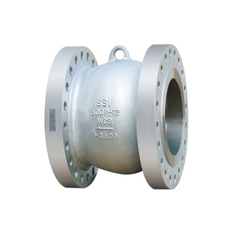 NOZZLE CHECK VALVE 수성밸브공업 주